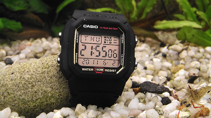 CASIO W-800HG-9AV - Aqua test - Българският форум за часовници