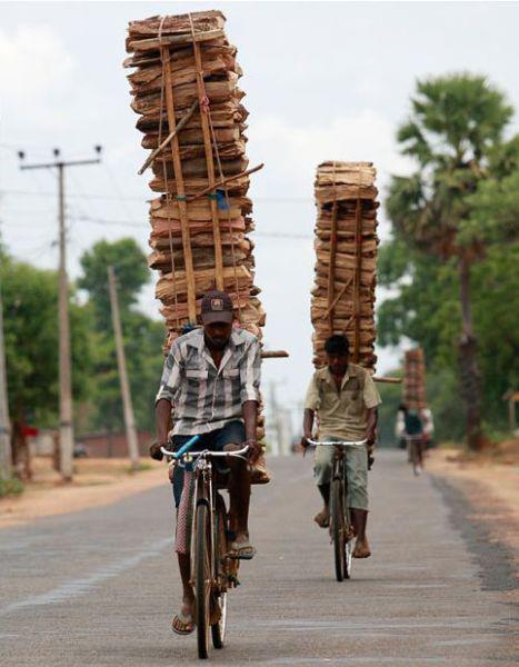 Technique to carry big load on a bicycle... | New Images 1'st