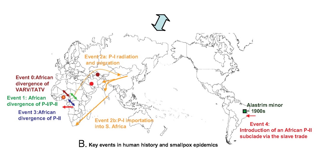 Rule of 6ix: On the origins of smallpox - where and when did variola ...