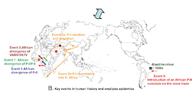 Rule of 6ix: On the origins of smallpox - where and when did variola ...
