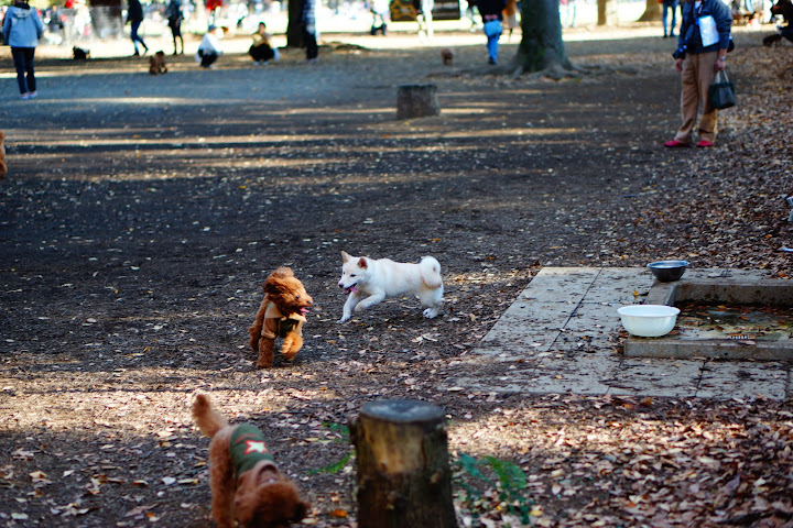 dontplayahate: Tokyo Tour