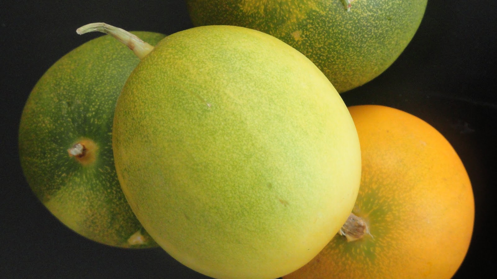 A Peek into My Kitchen: Dosakai Avakai / Pickle