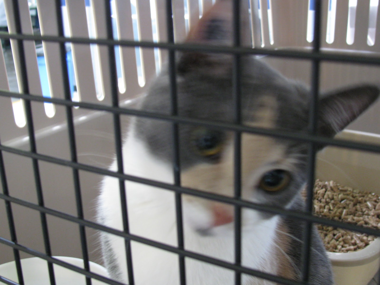 Claresholm & District FCSS