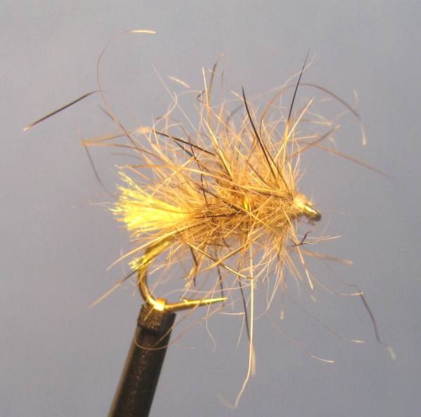 Angling Attributes: .......The Leveret