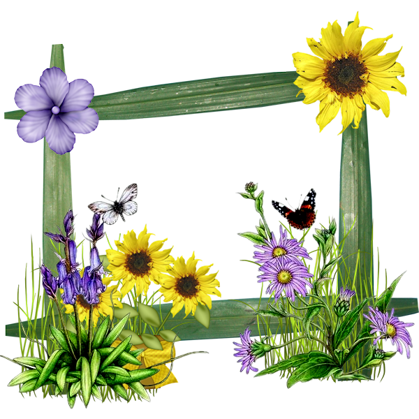 Angélica's Website: Tubes