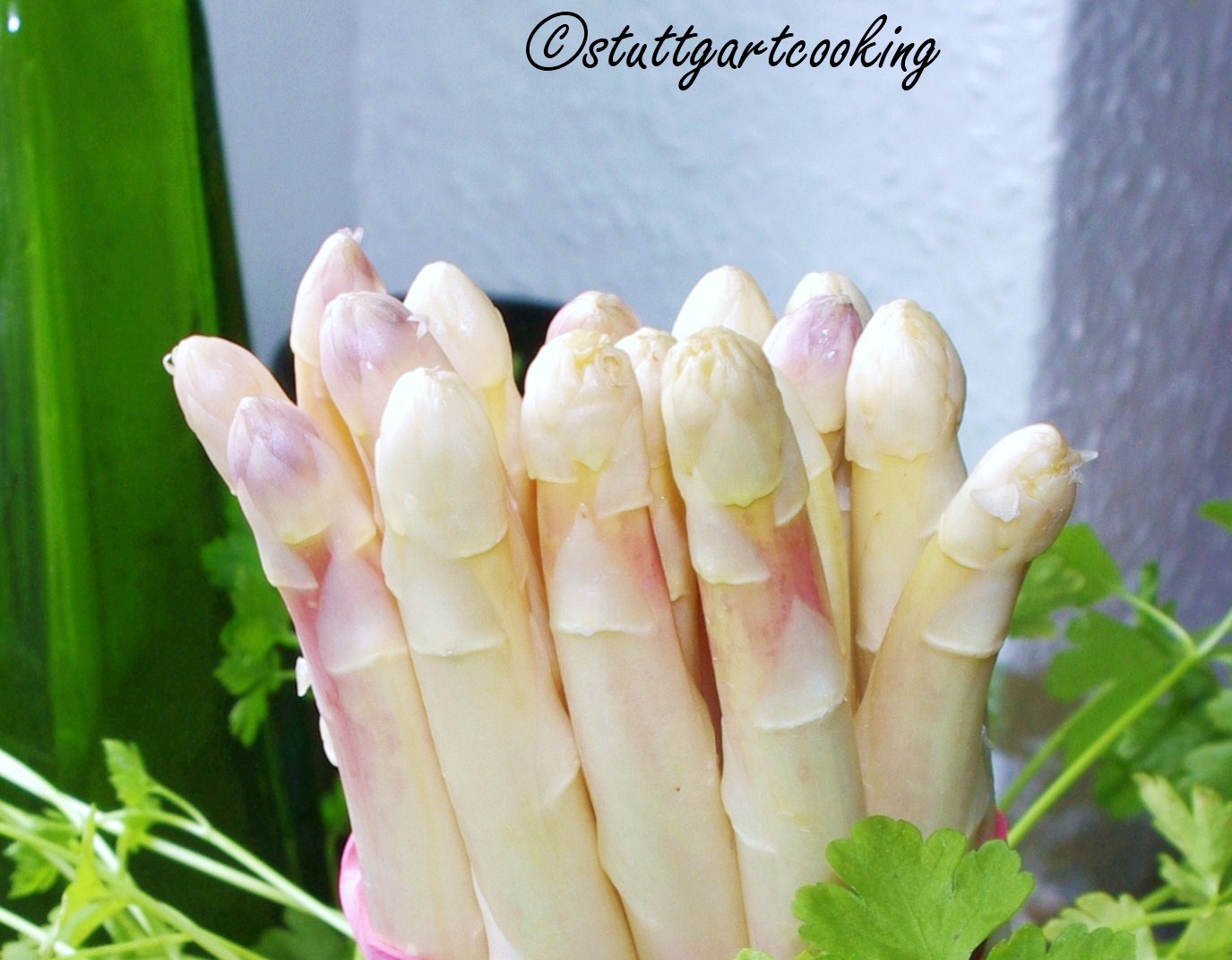 stuttgartcooking: Die Spargelsaison 2011 in Baden Württemberg ist ...