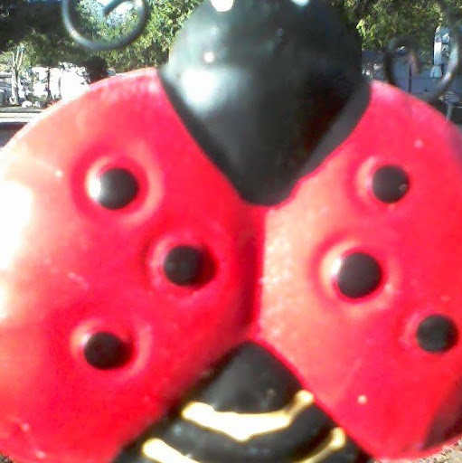 April Deming - Age, Phone Number, Address, Contact Info, Public Records ...