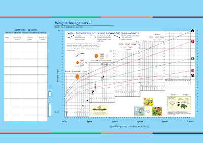 Zambia - ZMB - Home-based Record Repository
