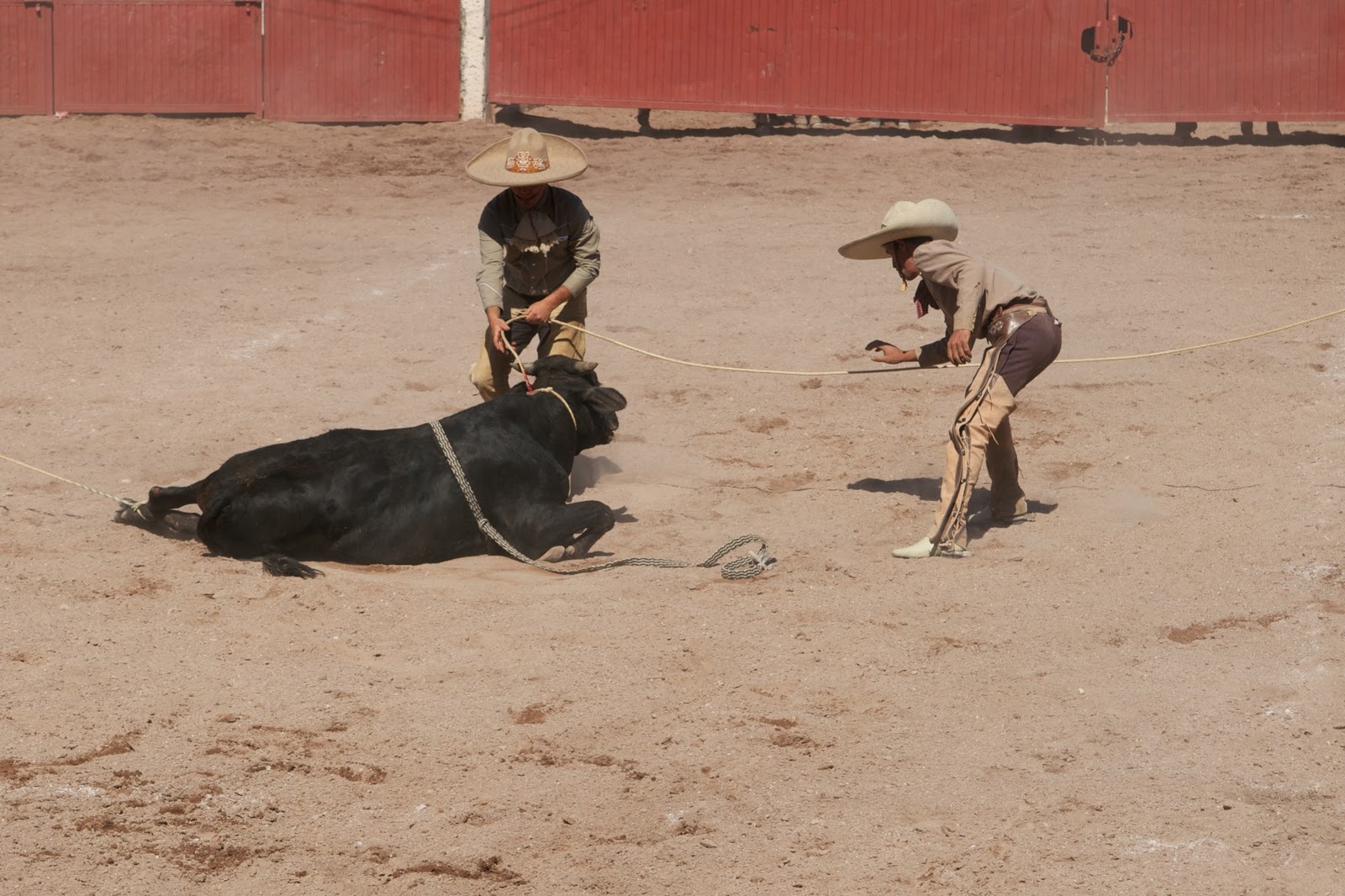 The Macs in Mexico: The San Miguel Rodeo!