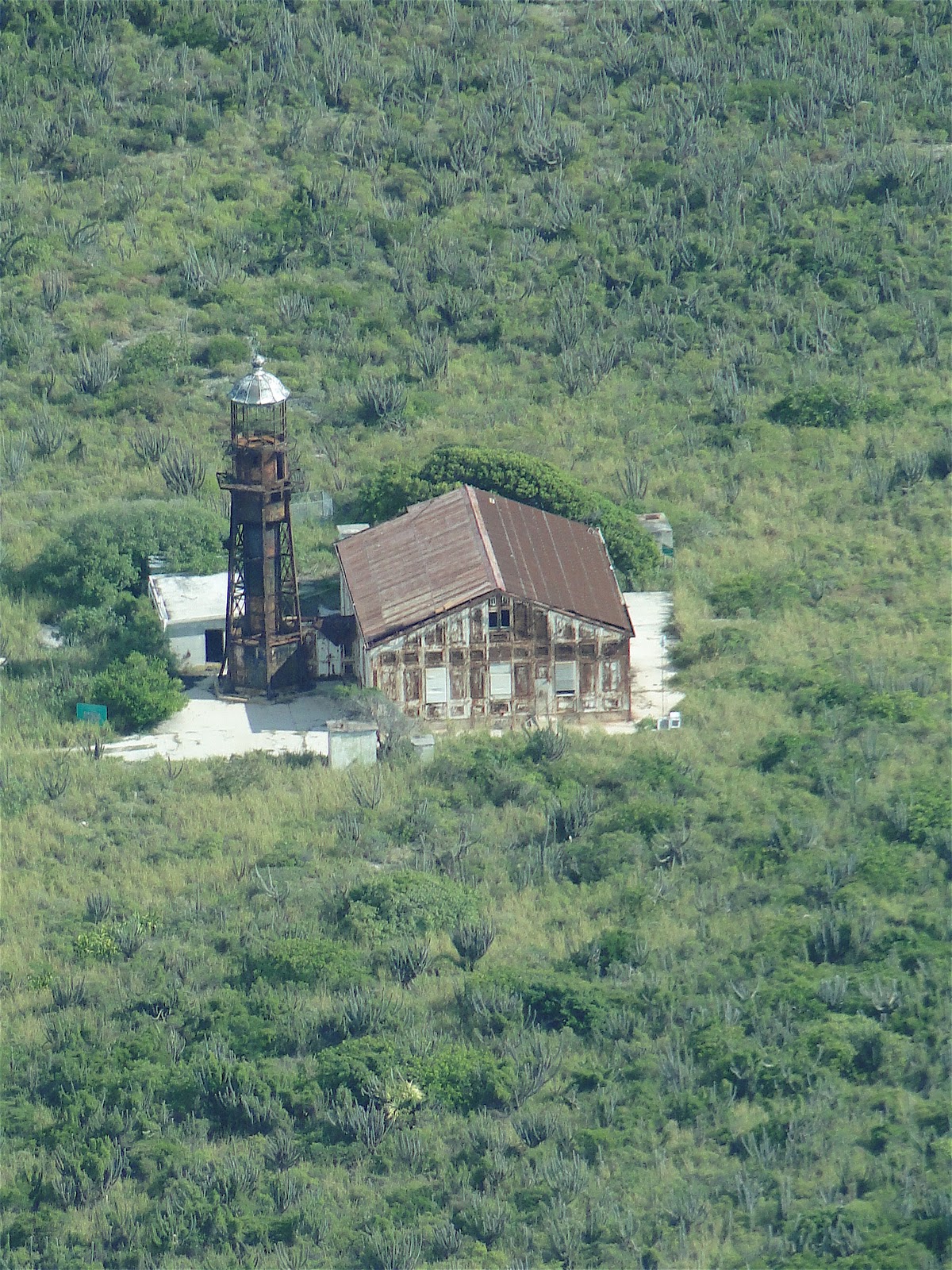 BCA Blog: Travelogue: Mona Island