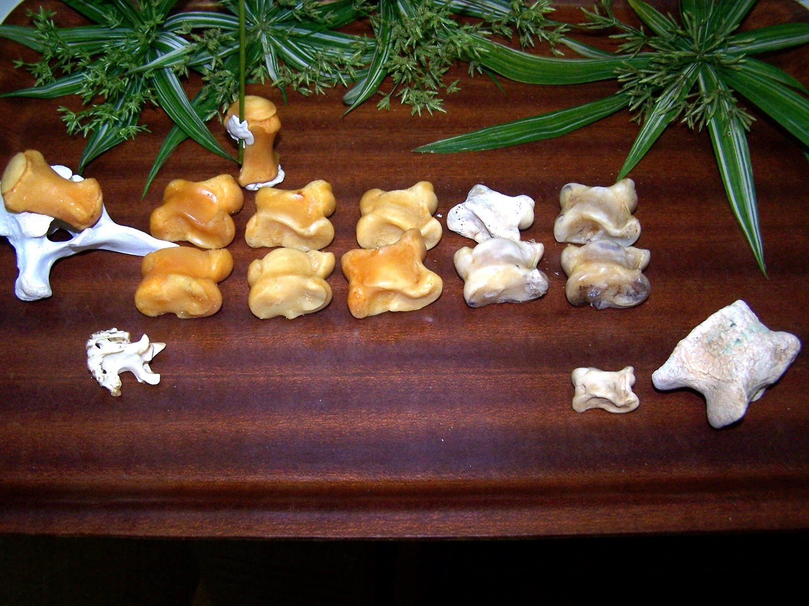 Whittal Tree: Dolosse, Ossewaens and My Brother Les