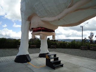 La tribuna del país: La Vaca Manuela no es una “vaca cualquiera”