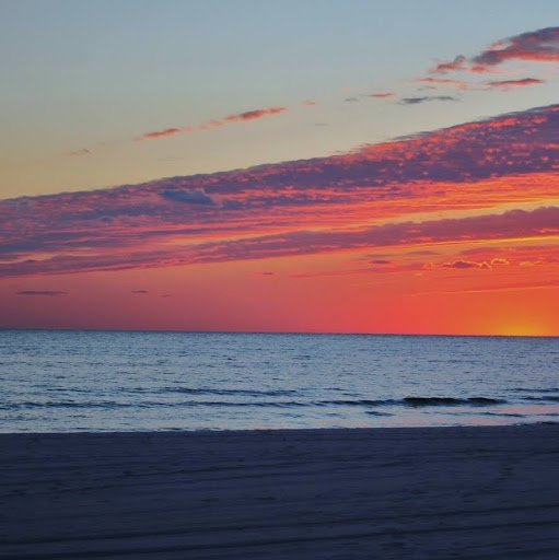 Brian Boyle - Address, Phone Number, Public Records | Radaris