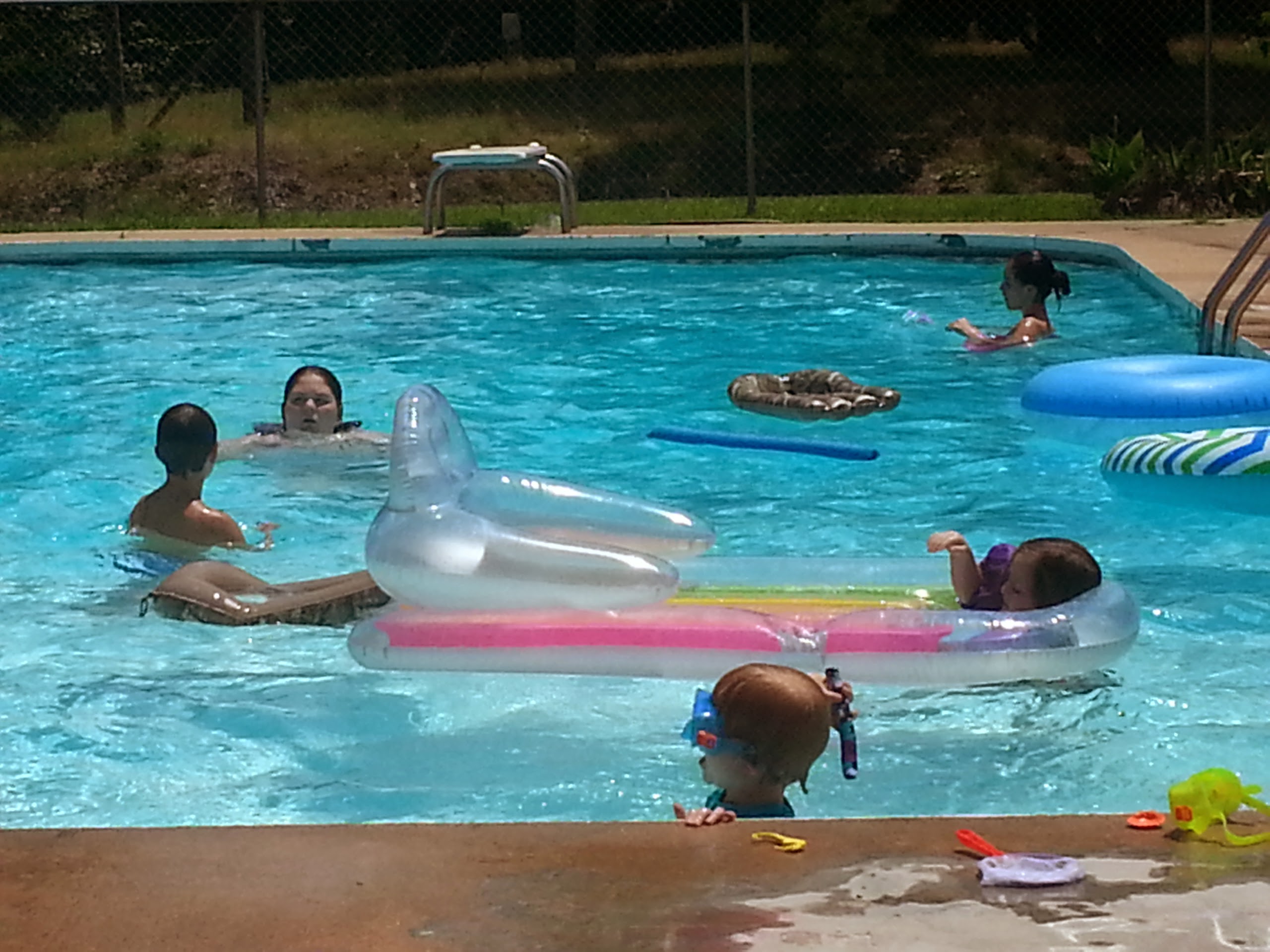 Swimming With The Cousins