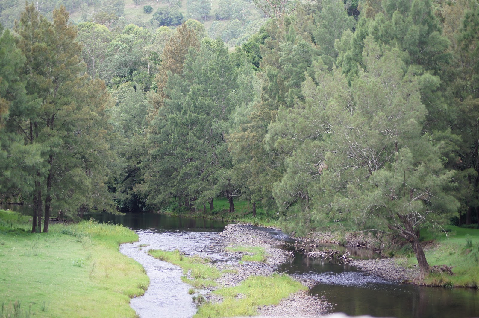 A Dream House for Trish: A wonderful adventure