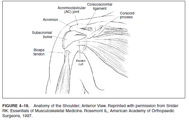 RHB and Physical Medicine: IMPINGEMENT SYNDROME AND ROTATOR CUFF TEAR