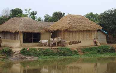 Tourism of Bangladesh: Picture of Bangladeshi Village