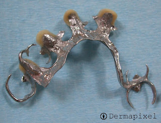 Dermapixel: marzo 2011