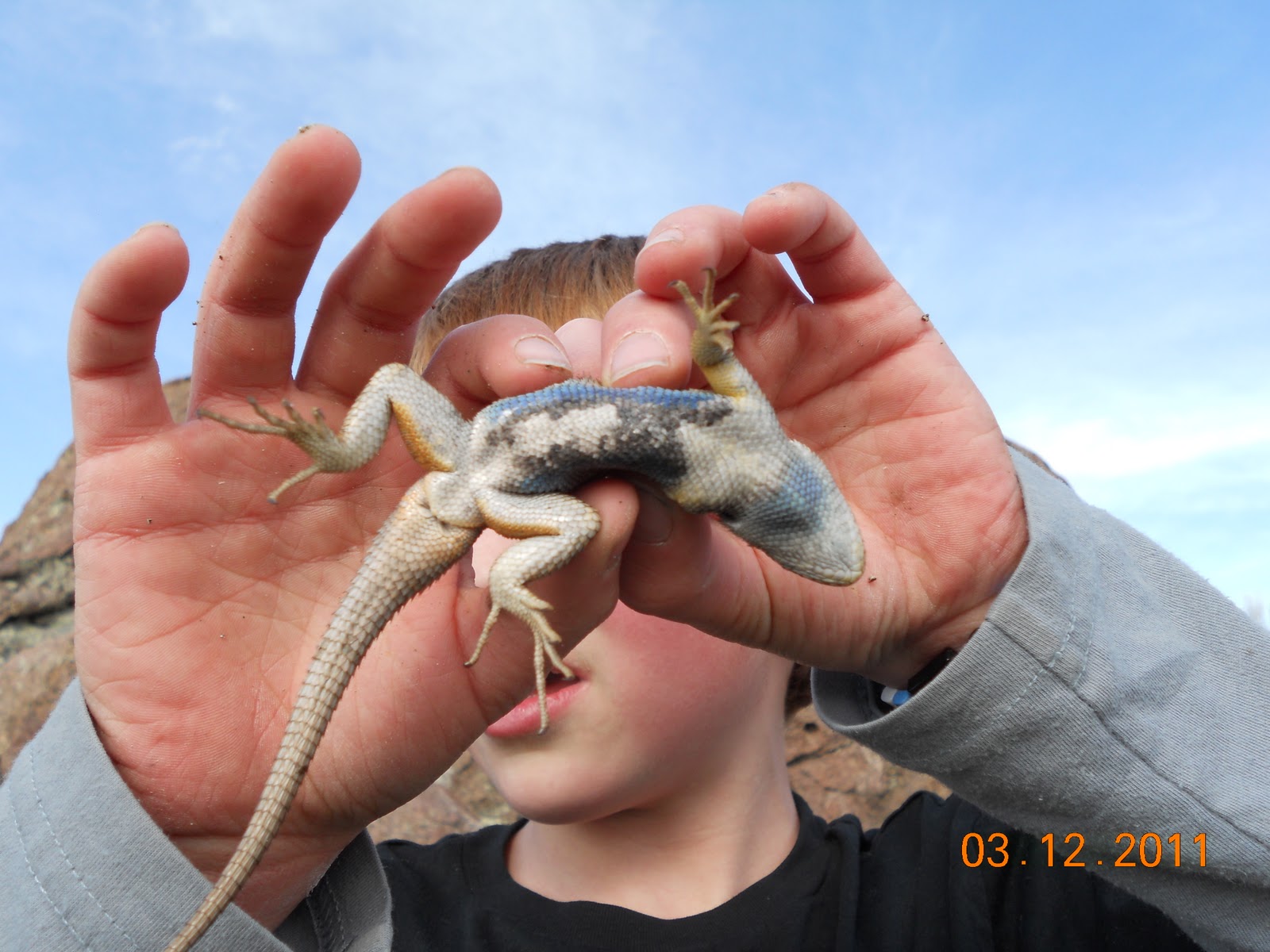 RaeLynn Writes!: March 2011