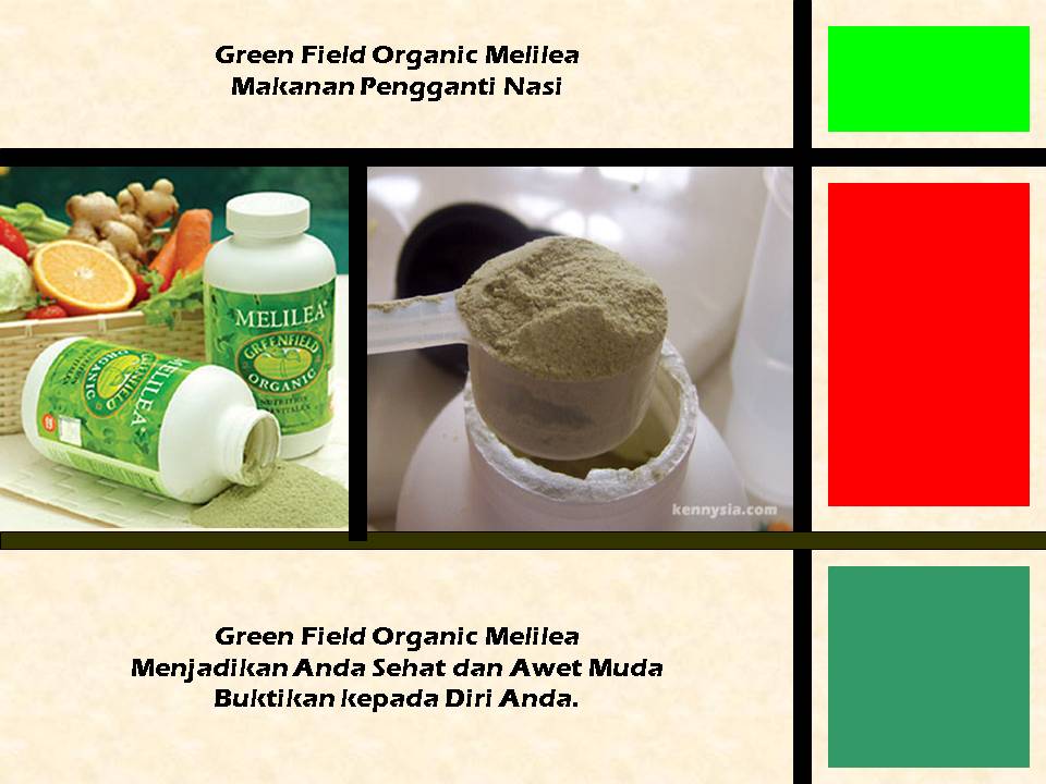 MAKANAN SEHAT: DAFTAR HARGA PRODUK MELILEA