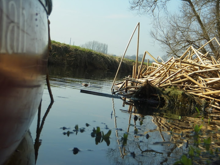 River Nene - a sort of circular route from Ringstead - Song of the ...
