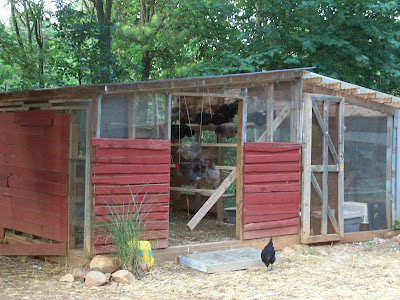 Smoky Mountain Hen House | BackYard Chickens - Learn How to Raise Chickens