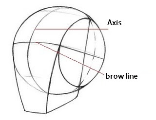 Learning to draw: Human Head