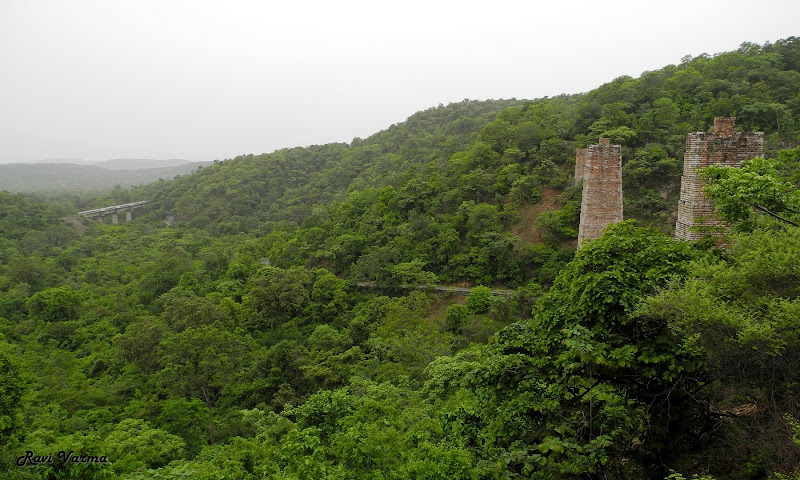 [Photo Feature]: Exploring the Nallamalla forest range, and trekking at ...