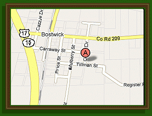 Florahome USA: HEY LOOK! It's the Bostwick Blueberry Festival