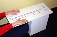 Physical Education VI: Physical Fitness