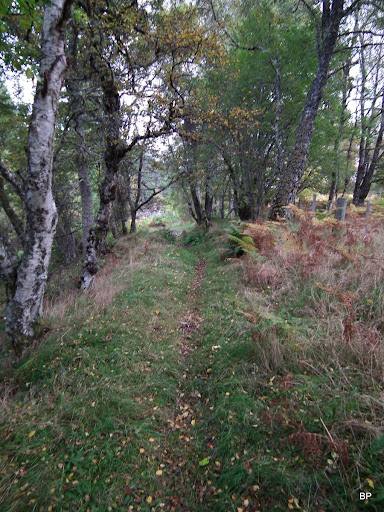 Walk Report - The Falls of Orrin and the Mystic Tower • Walkhighlands