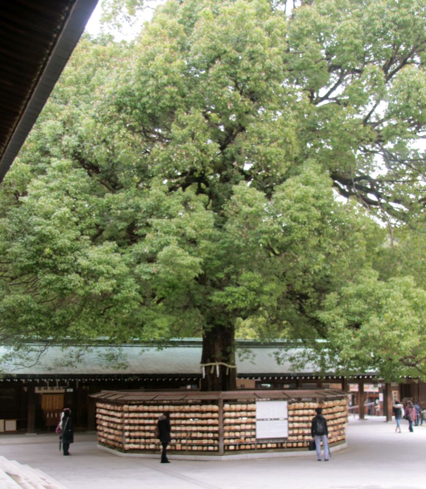 Geekymummy: Prayer Tree