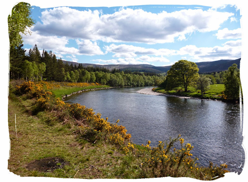 Walk Report - The Deeside Way - Aberdeen to Ballater • Walkhighlands