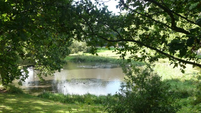 A Walk along the Bure Valley Path ~ Griffmonsters Great Walks
