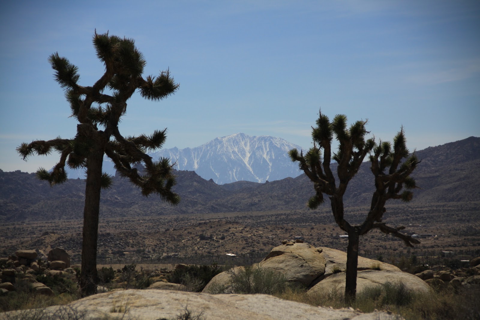 My Scenic Byway: Desert Scenes
