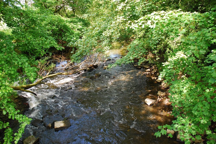 Walking the canal: Parbold to Wigan – That's How The Light Gets In