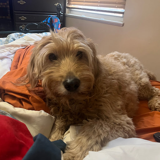 Tasha Novak's Instagram, Twitter & Facebook on IDCrawl