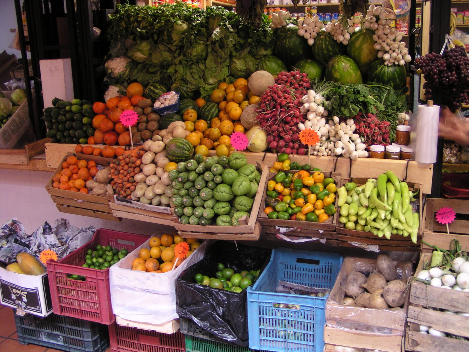 Travel with Kevin and Ruth: Hacienda Contreras (day 8)