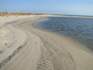 Life in Mathews: Bethel Beach III: Sand