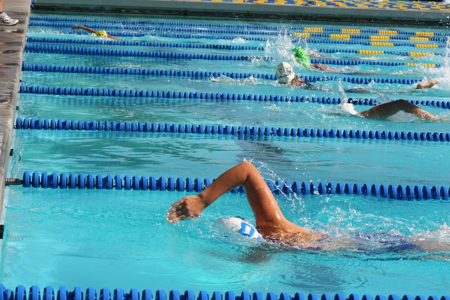 Del Norte Swim School: What is a swimmer?