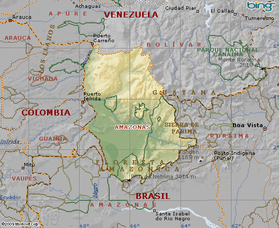 Amazonas: Amazonas, más que un simple estado.