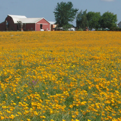 Don Newell - Address, Phone Number, Public Records | Radaris