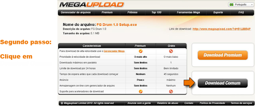 Fábio Geremias: Aprenda a fazer download pelo MEGAUPLOAD