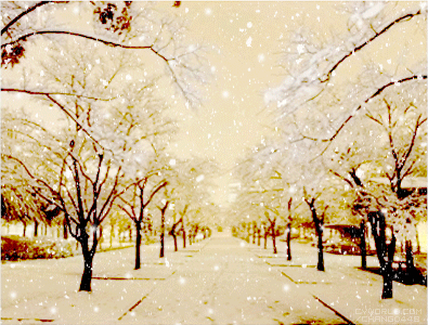 Gifs de neve ~ Oficina do Gif