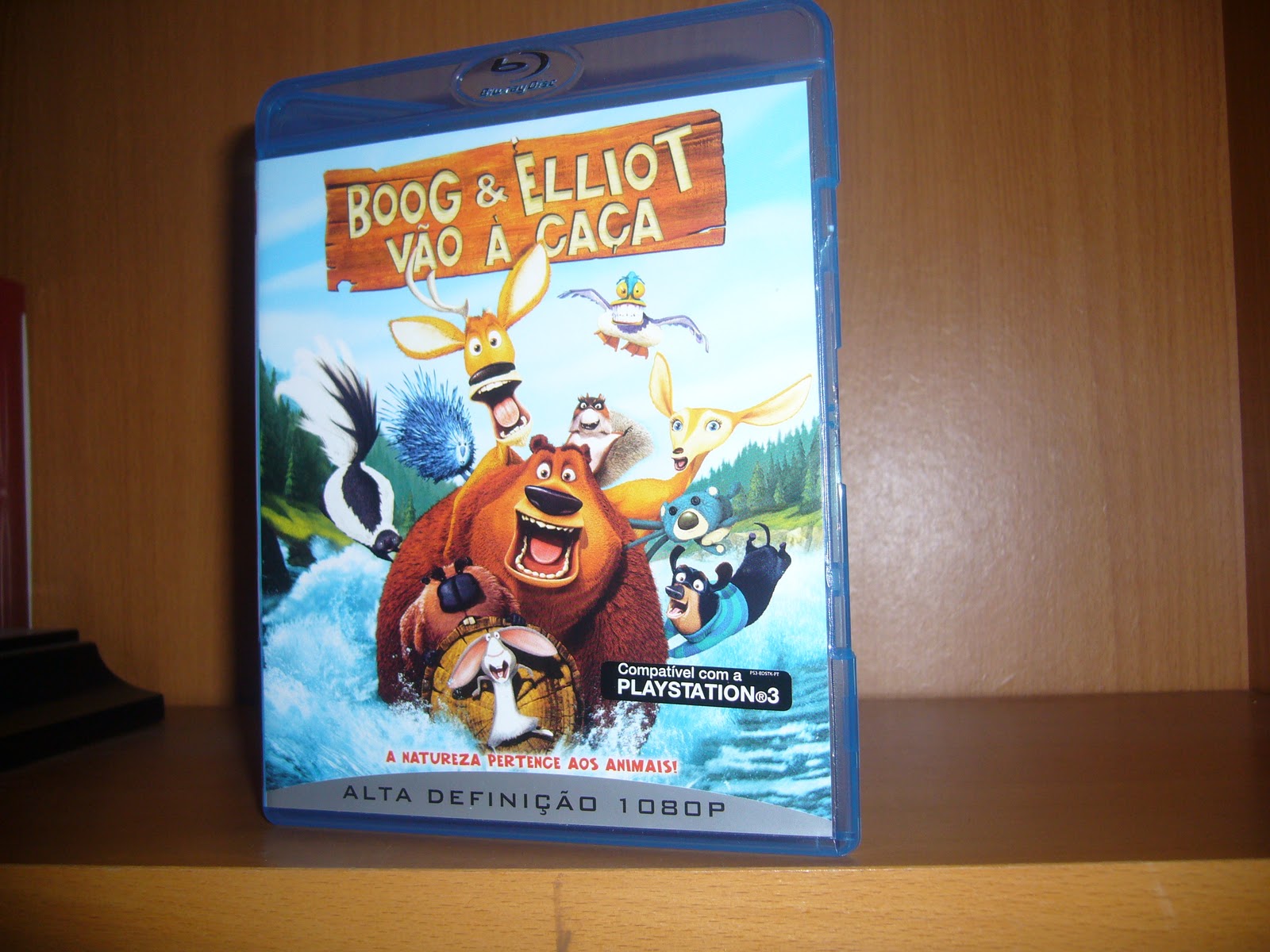 RICARDO ROCHA : Disney / Pixar / Animation