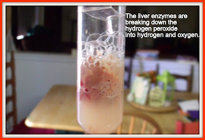 {Lab} | The Colorado adventure