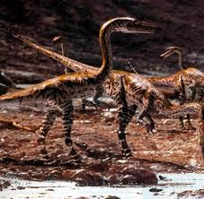 Blog de los dinosaurios