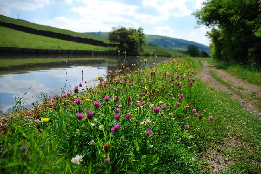 Kildwick – That's How The Light Gets In