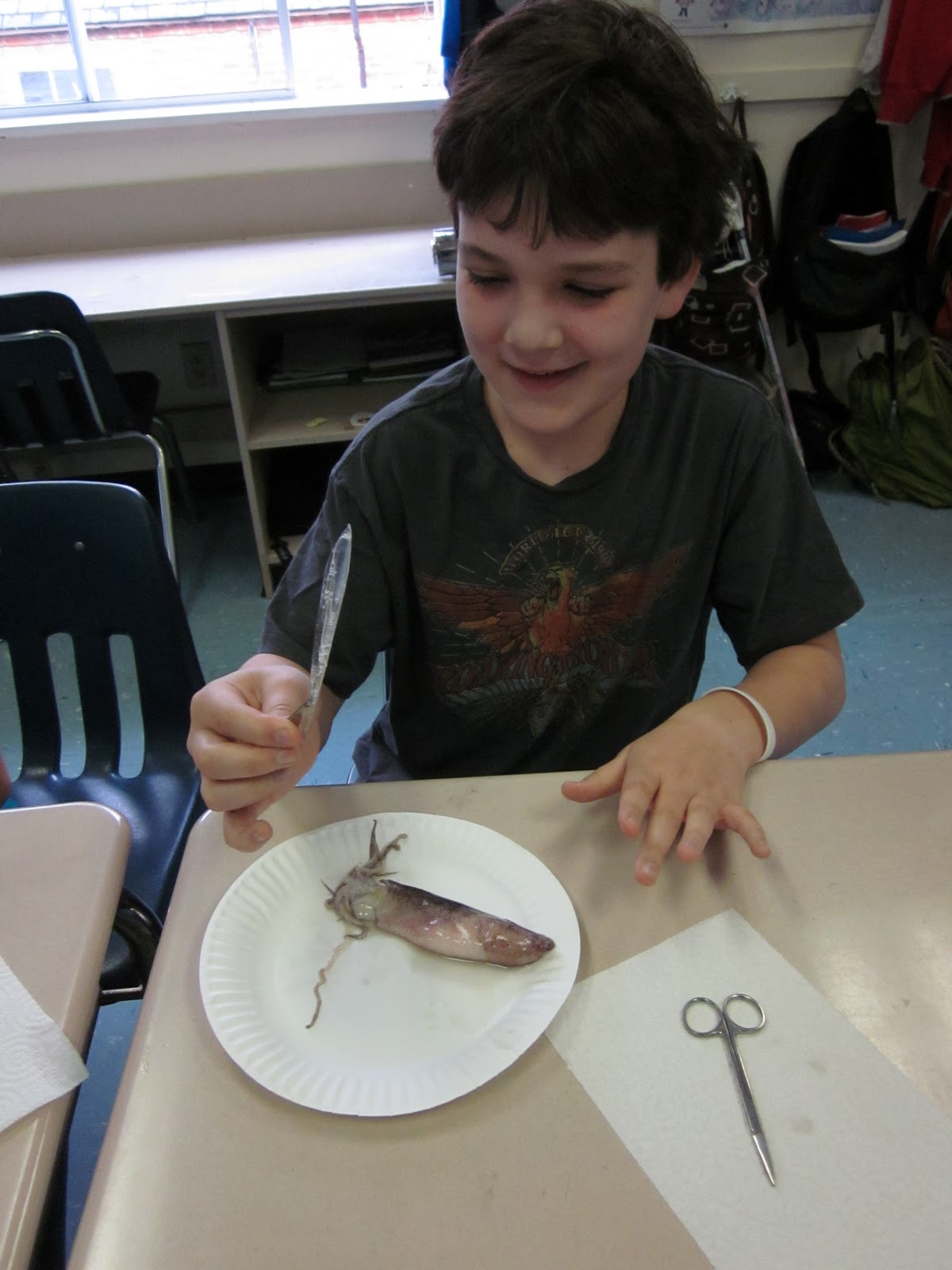 Tandem Friends School 6th Grade News: Squid Dissection