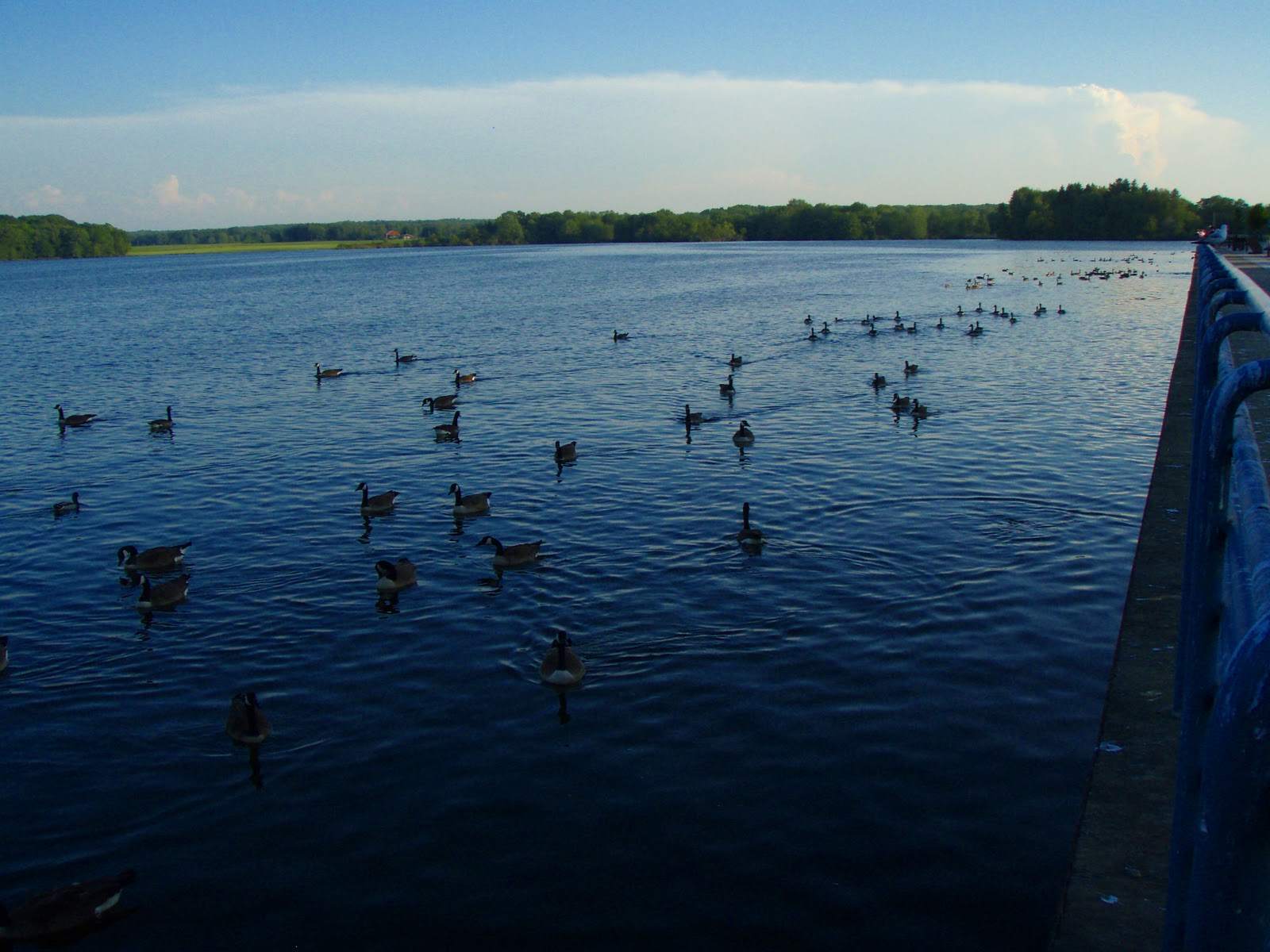 hikethesummits: Pymatuning Lake State Park 5/27-30/10